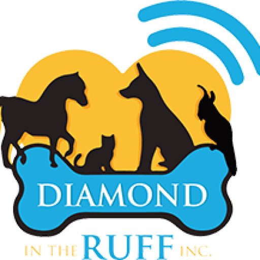 Blog - Diamond in the Ruff Inc. | Edmonton AB